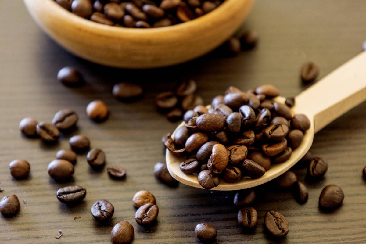 Du grain à la tasse, un café pro adapté à chaque besoin